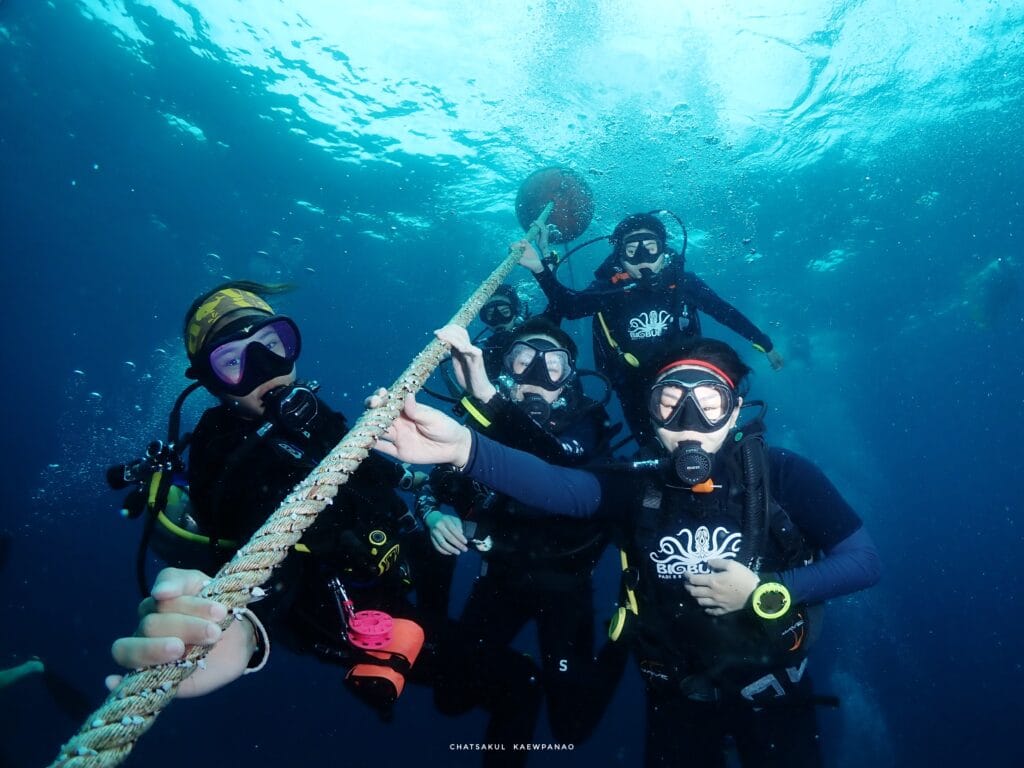 PADI Open Water Diver Course | BIGBUBBLE
